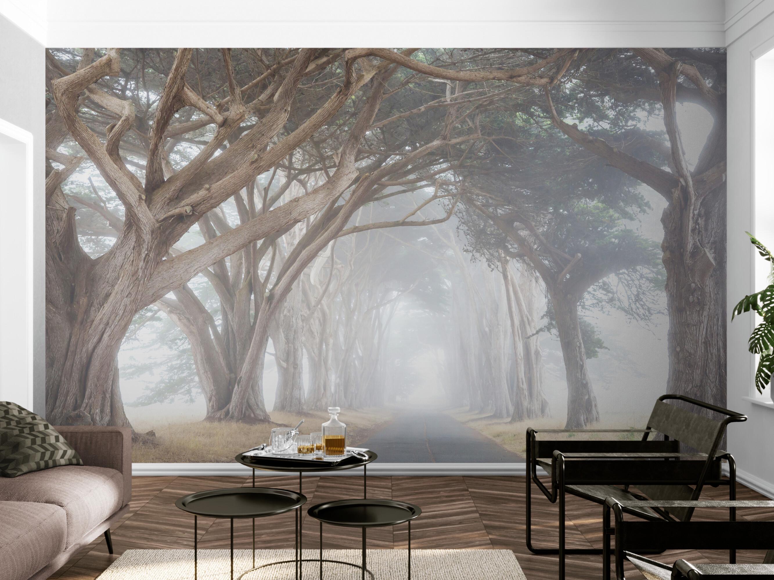 Oversized Forest Wall Mural, Peel and Stick Trees Wallpaper, Self ...