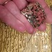 Vintage Judith Jack Marcasite and Sterling Silver Brooch - Etsy