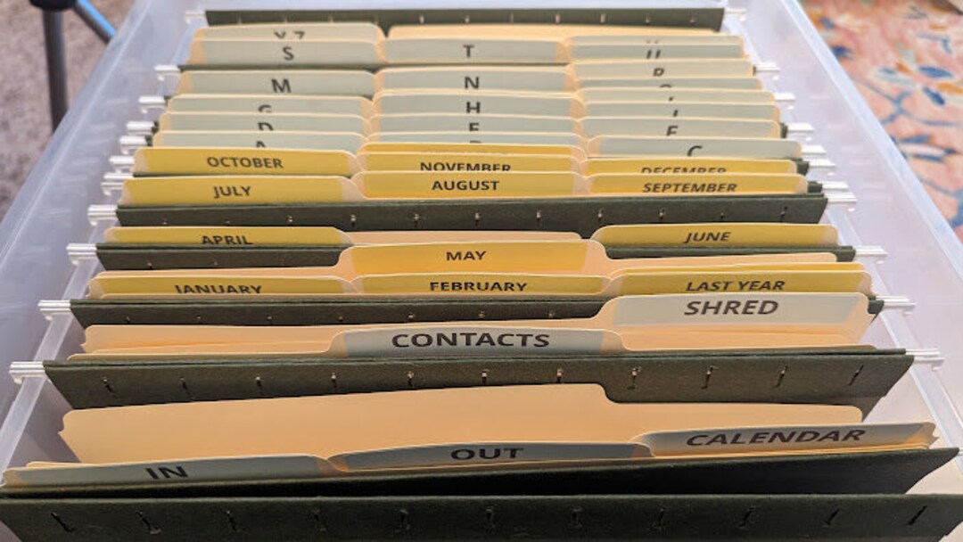 WISEFILE 50 Labelled Folders Filing System With 1 Page Instructions for ...