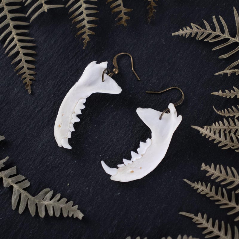 Bone Earrings - Etsy