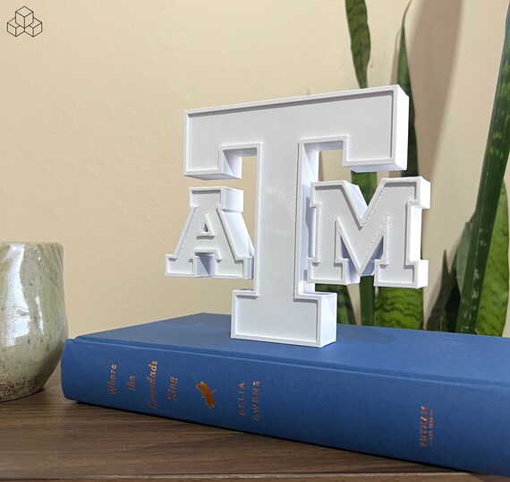 Texas Atm Logo 3d
