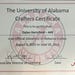 Alabama Roll Tide Block Letter Shelf Decor | University of Alabama | 3D ...