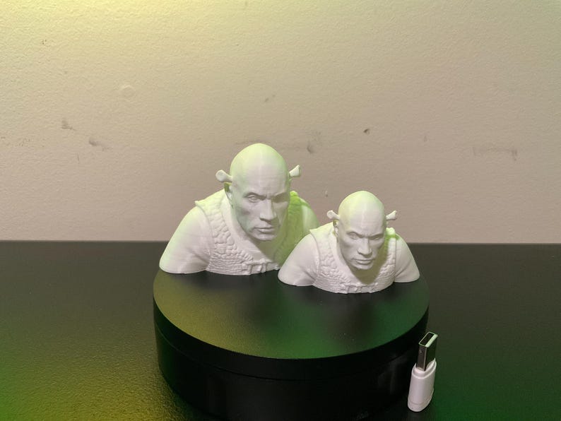 The Rock Shrek 3D Printed Figure Statue, Fairy Tale, Donkey, Dwayne ...