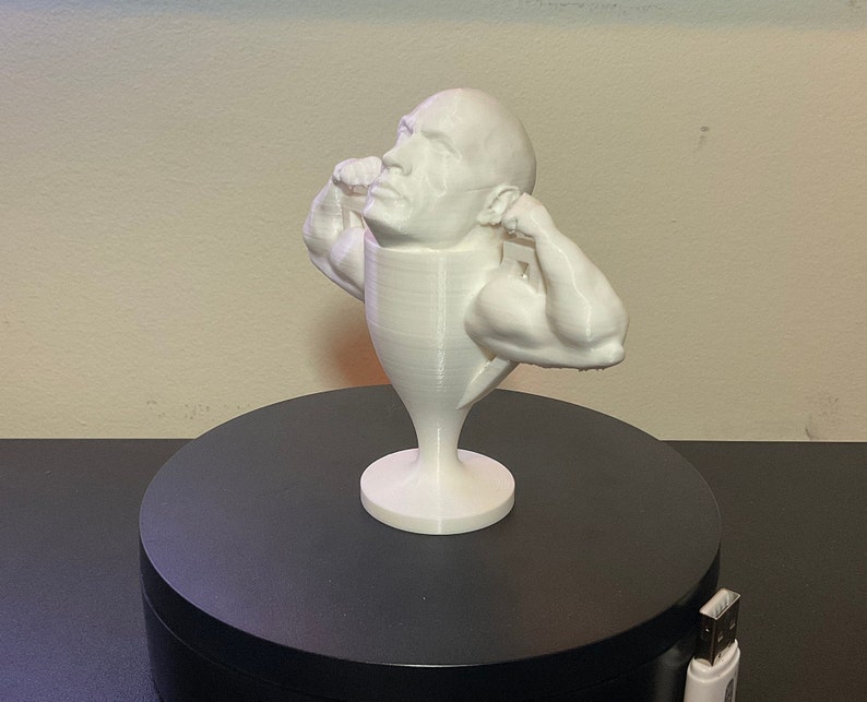 The Rock Trophy 3D Printed Figure Statue Dwayne Johnson - Etsy