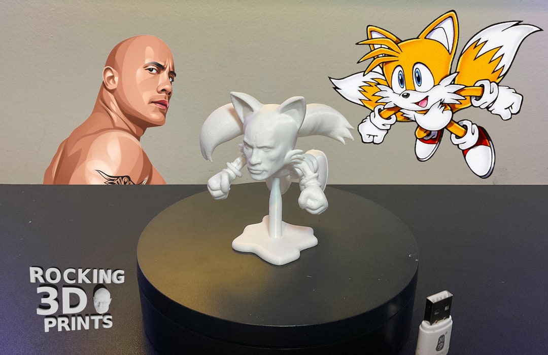 The Rock Tails 3D Printed Figure Statue, Sonic Sega Fan Gift, Dwayne ...