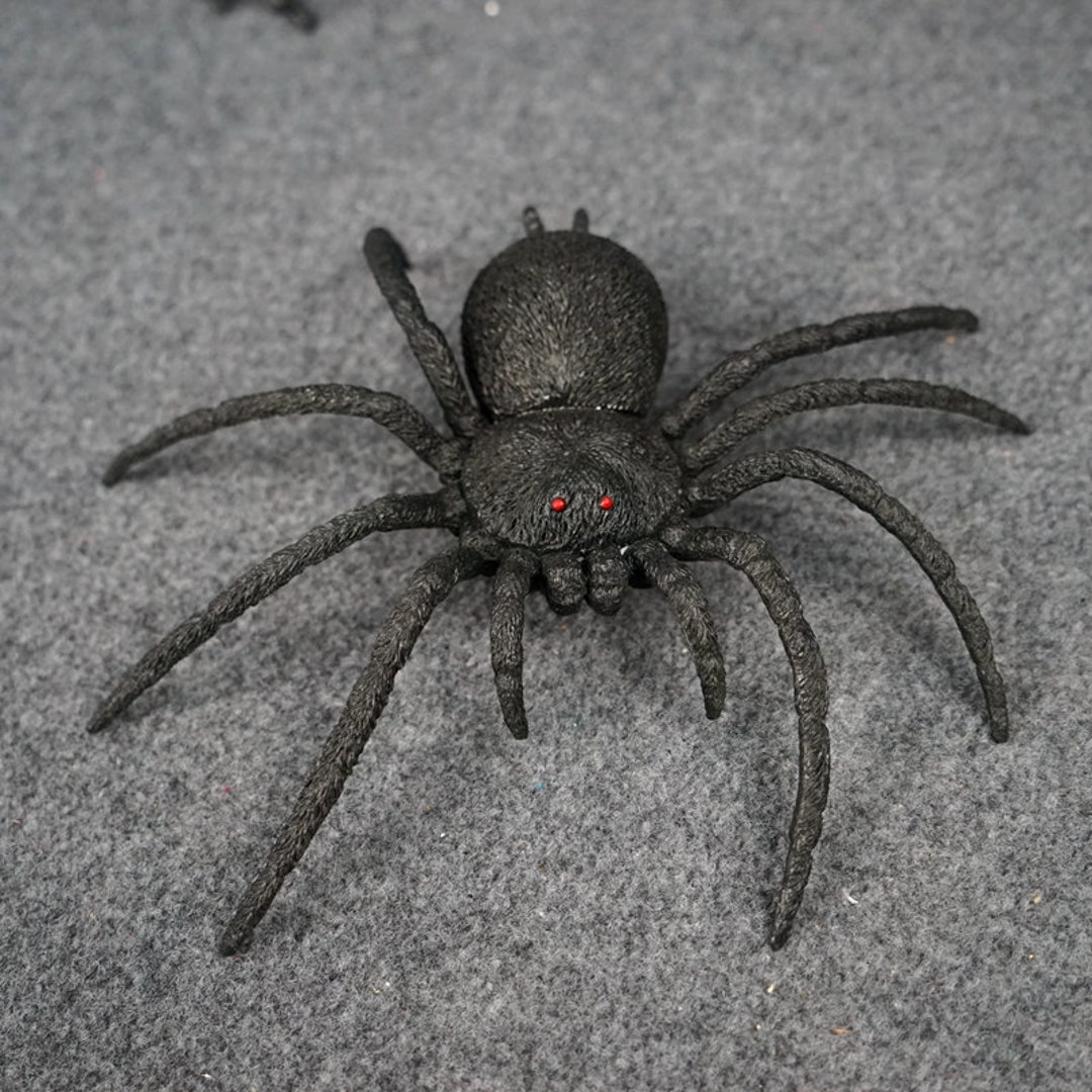 Simulation of Large Spiders Large Beetles Whole Toys - Etsy