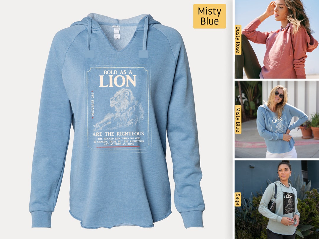 Christian Hoodie, Bold as a Lion, Christian Sweatshirt, Christian ...