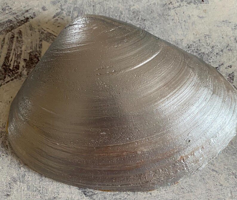 Extra Large Clam Shell Jewelry Dish Handmade Decoupage Hand Painted ...