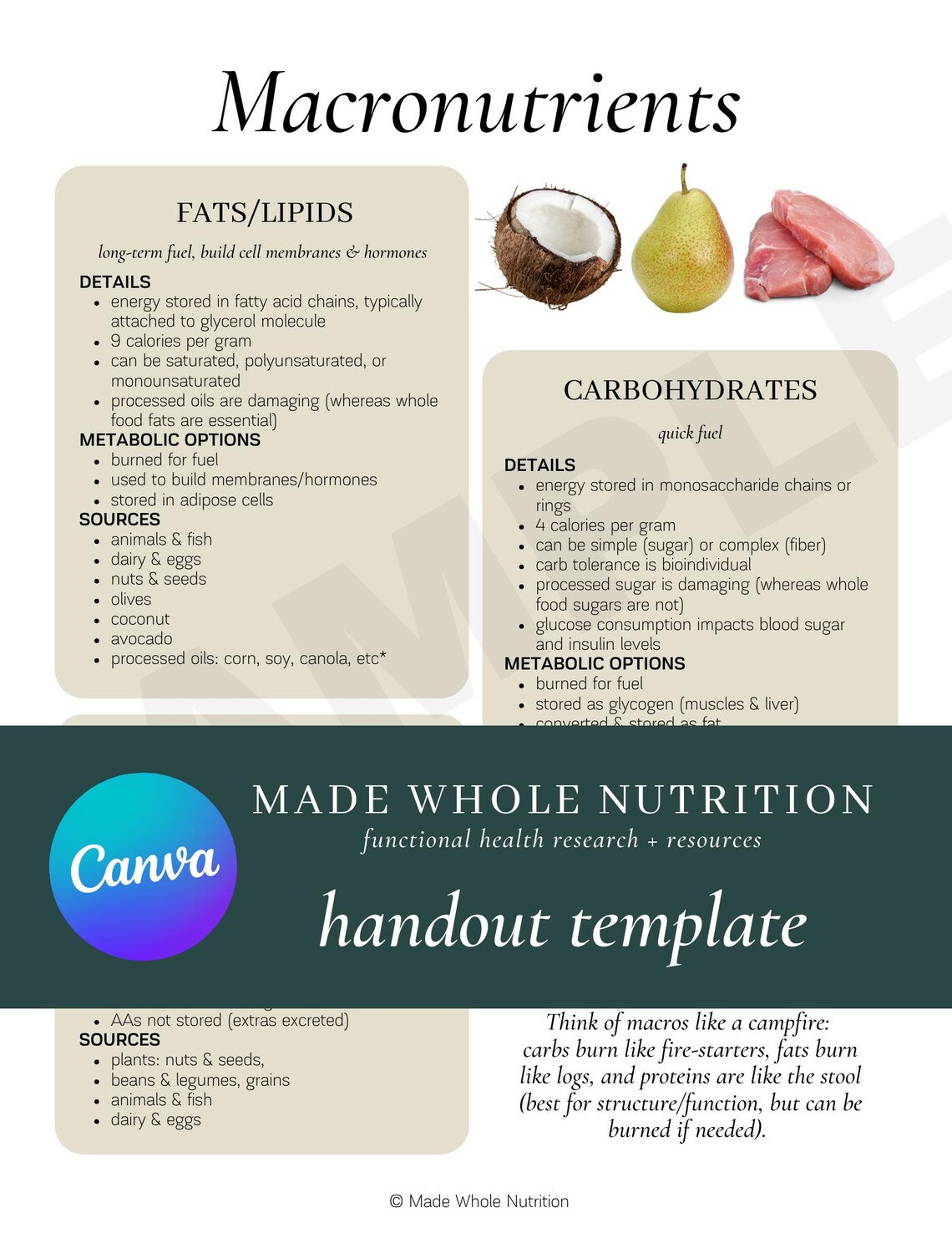 Macronutrients Nutrition Handout Canva Template - Etsy