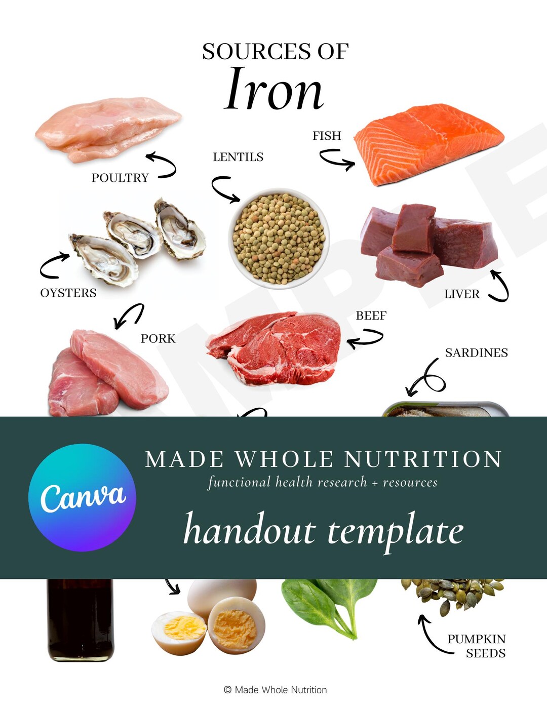 Sources of Iron Nutrition Handout Canva Template - Etsy