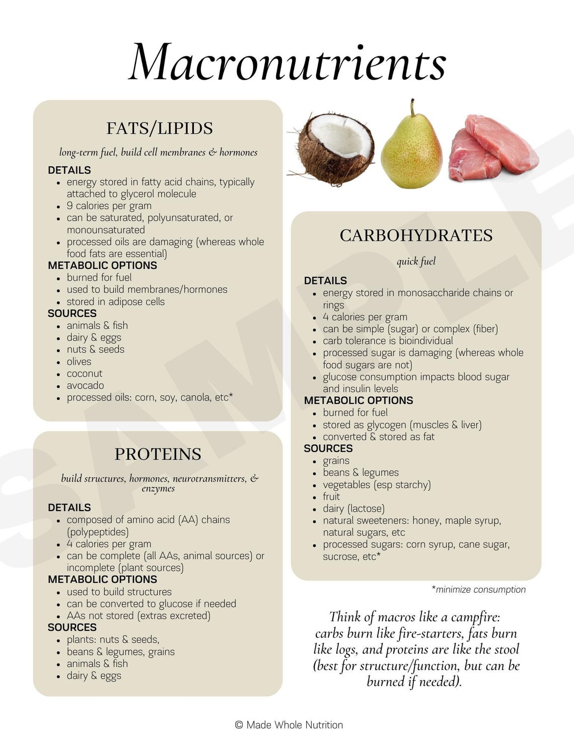 Macronutrients Nutrition Handout Canva Template - Etsy