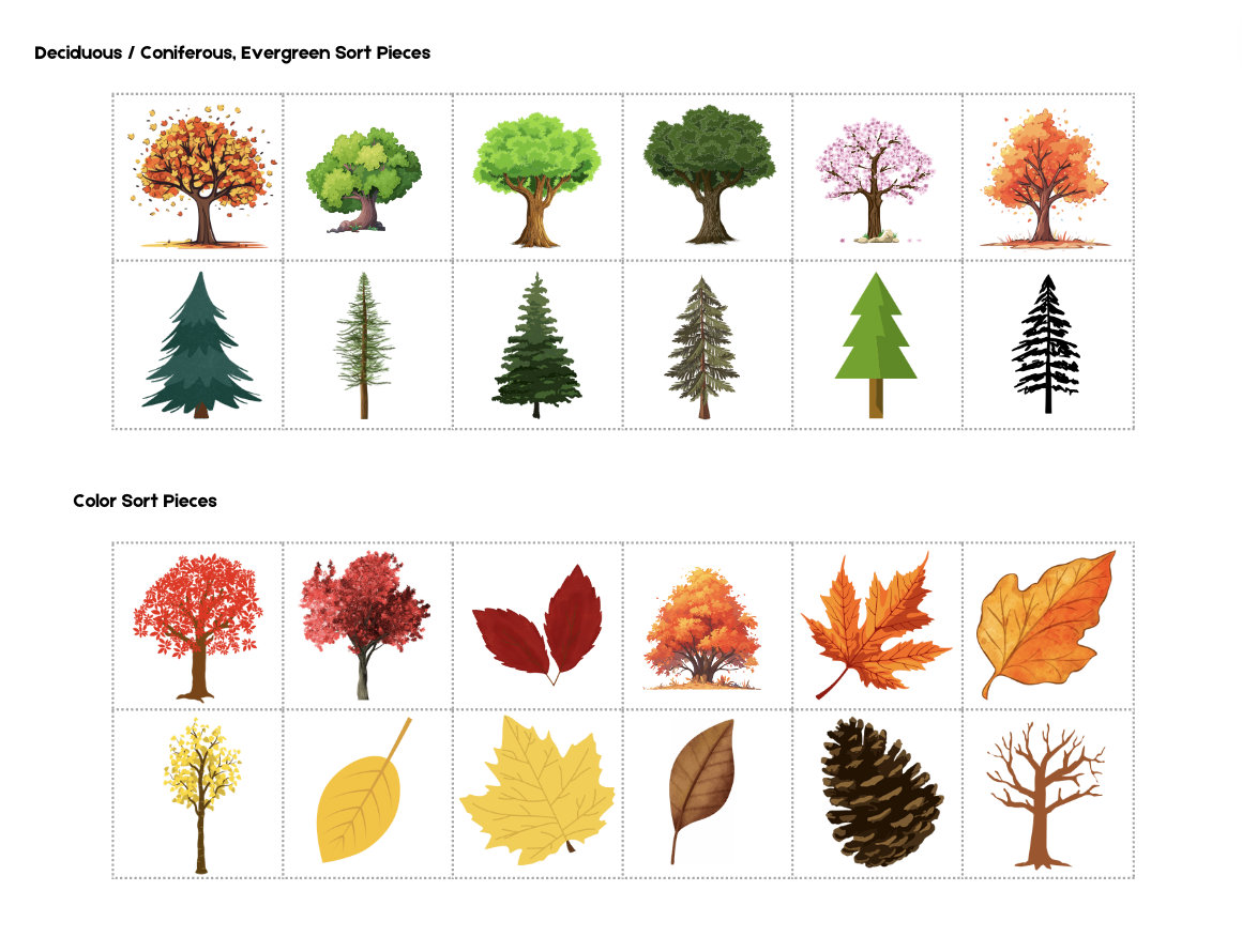 All About Trees Busy Book Printable - Etsy