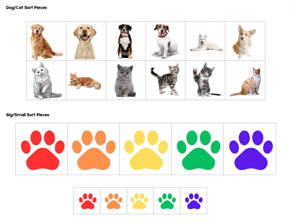 All About Pets Busy Book Printable - Etsy