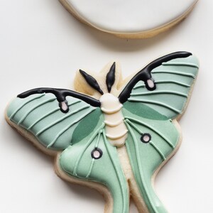 Moth Cookie Cutter - Etsy