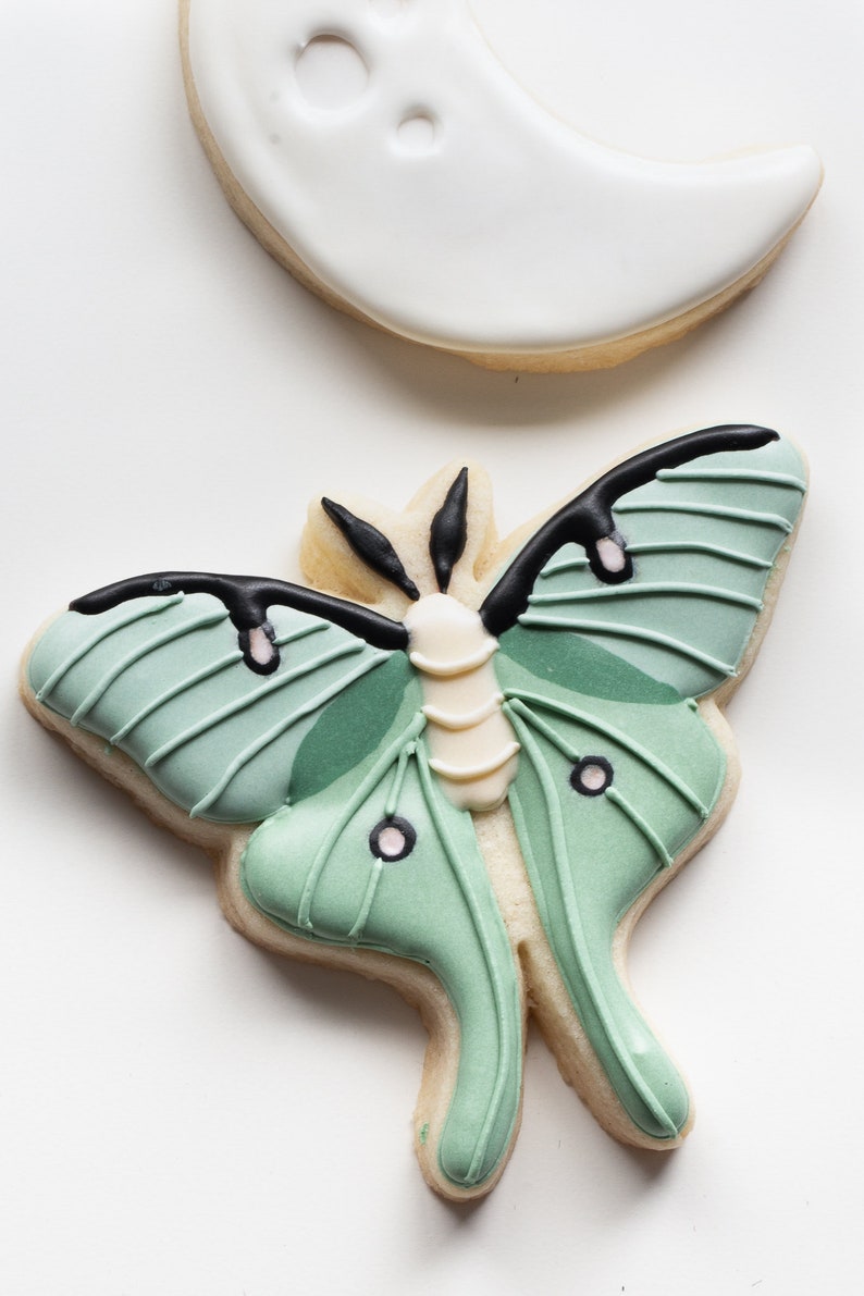 Moth Cookie Cutter - Etsy