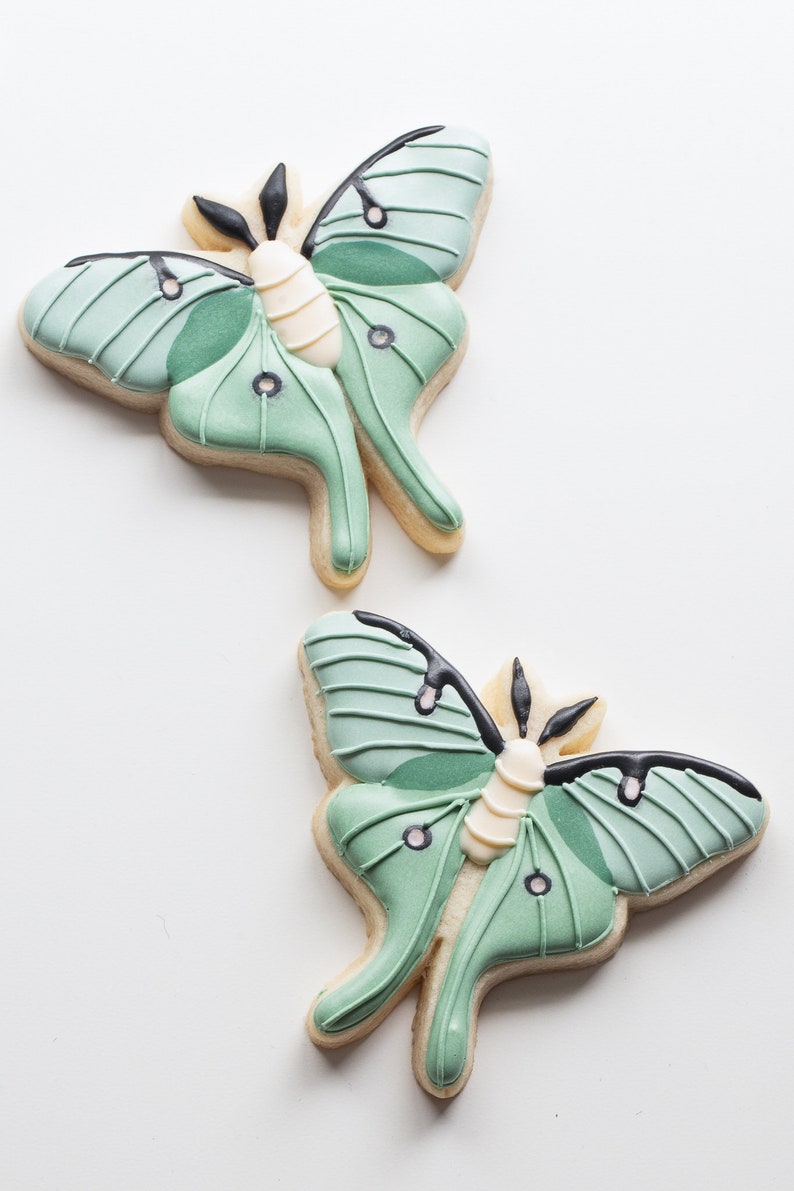 Moth Cookie Cutter - Etsy