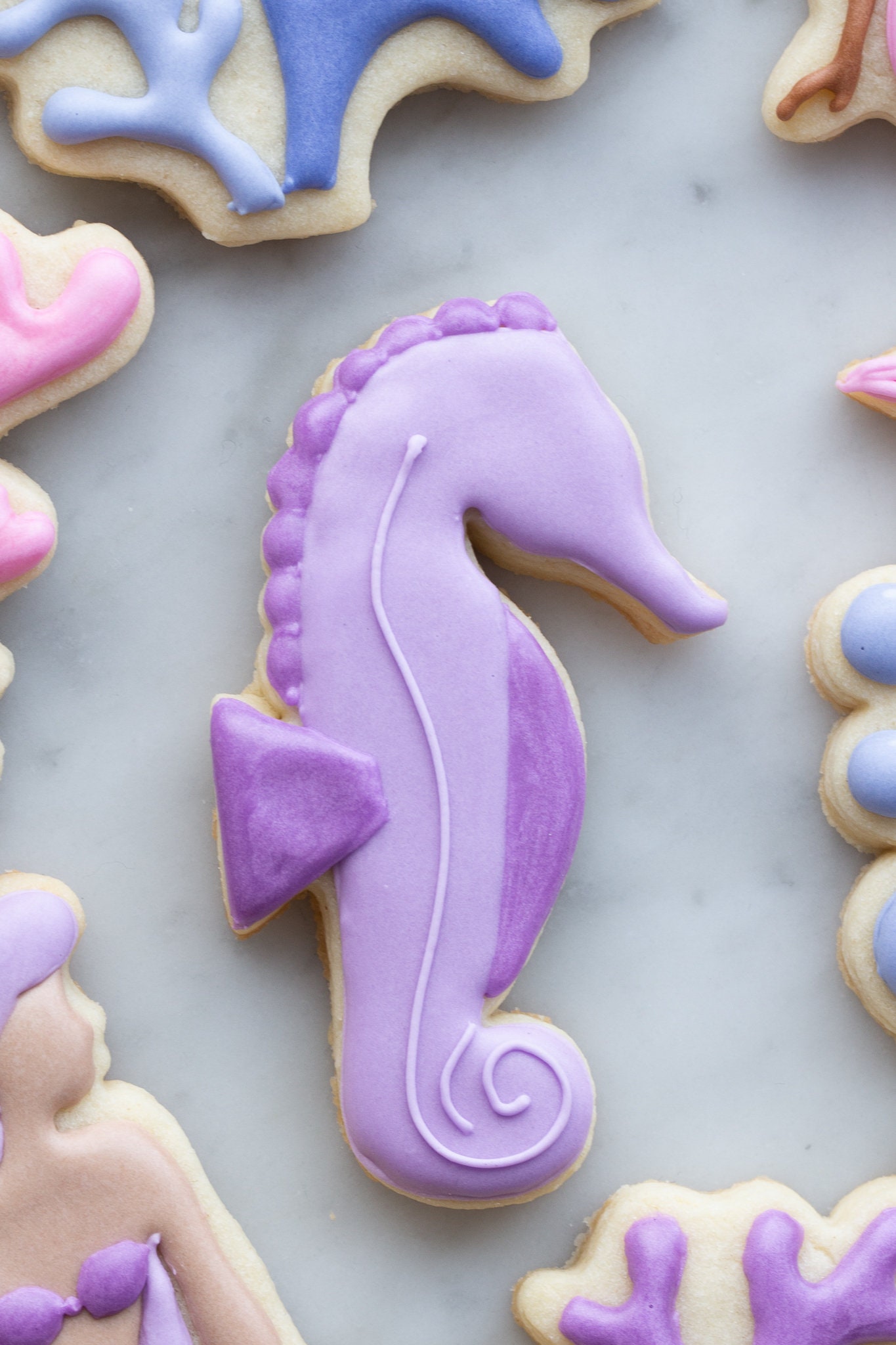 Seahorse Cookie Cutter - Etsy