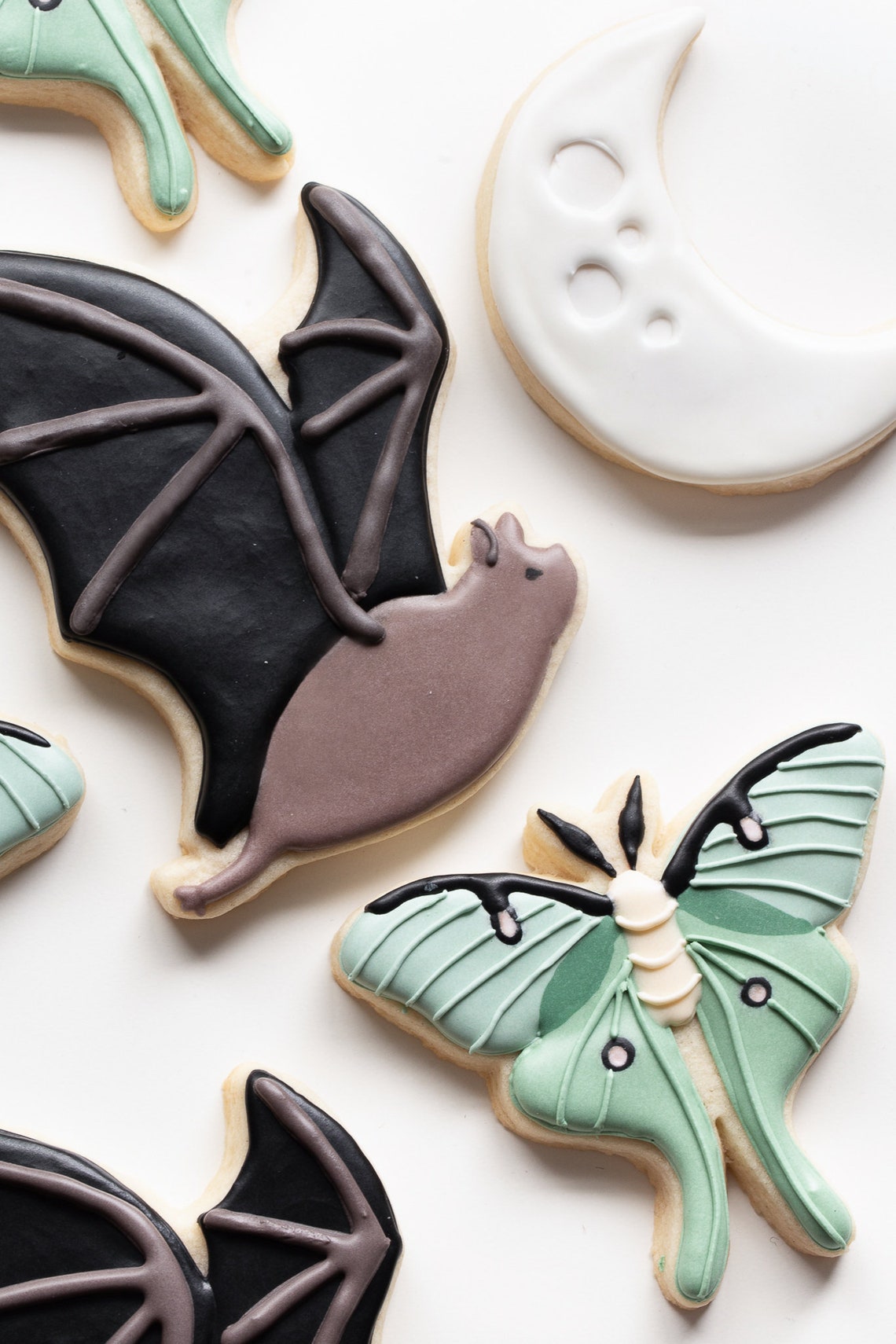 Moth Cookie Cutter - Etsy