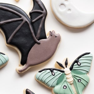 Moth Cookie Cutter - Etsy