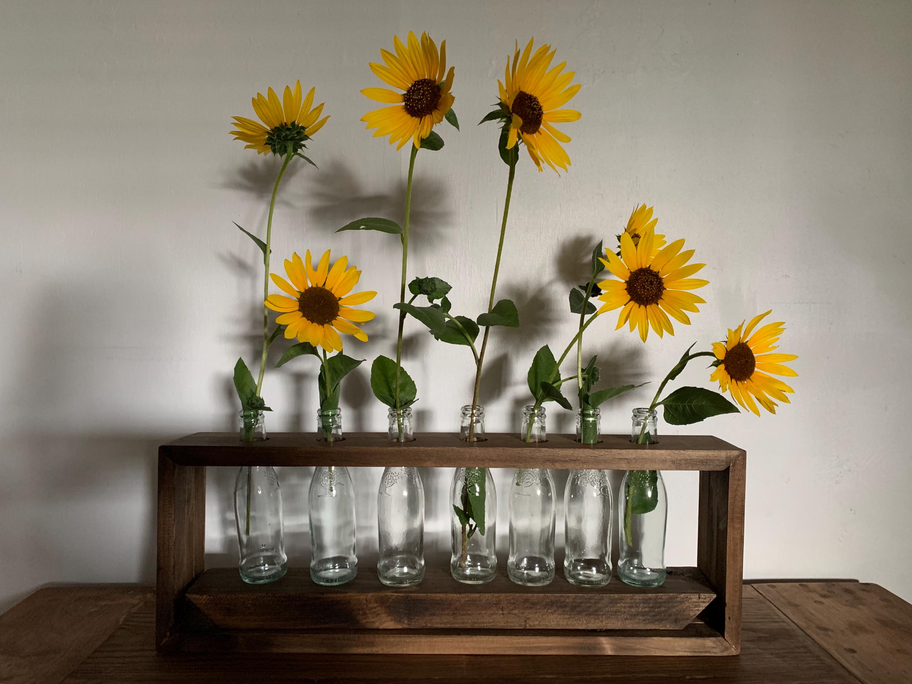 Rustic Wooden Bud Vase Holder | Glass Bottle Plant Propagation Stand ...