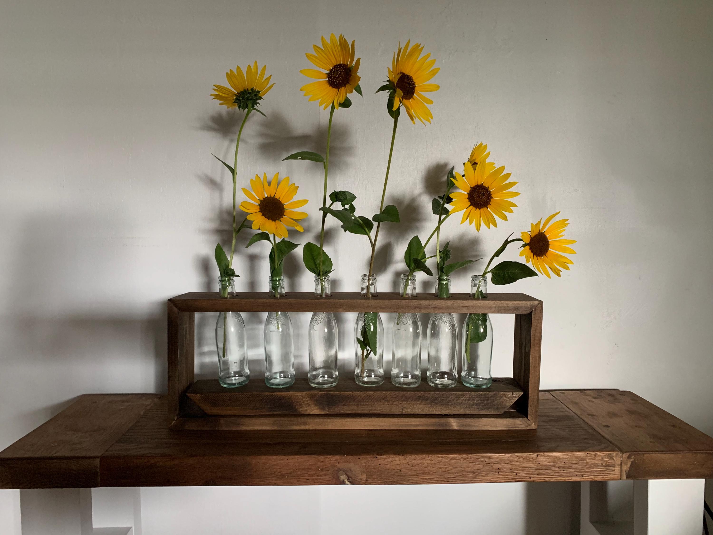 Rustic Wooden Bud Vase Holder | Glass Bottle Plant Propagation Stand ...