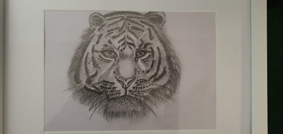 A3 Graphite Piece of a Tiger. If You Love Animals You Will - Etsy
