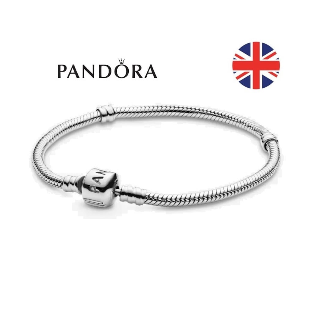 Pandora Moments Charm Bracelet, Snake Chain Bracelet, Sterling Silver ...