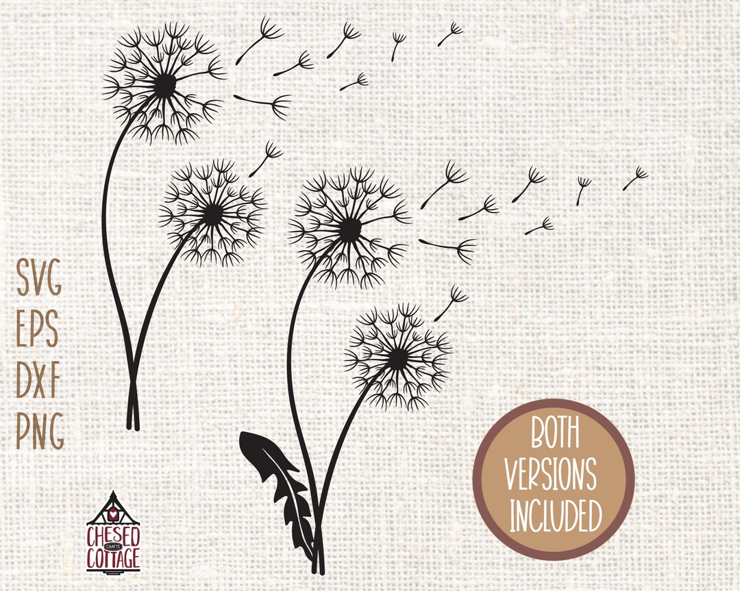 Dandelion SVG, Floral SVG, Dandelion Bundle SVG, Dandelion Png, Flower ...