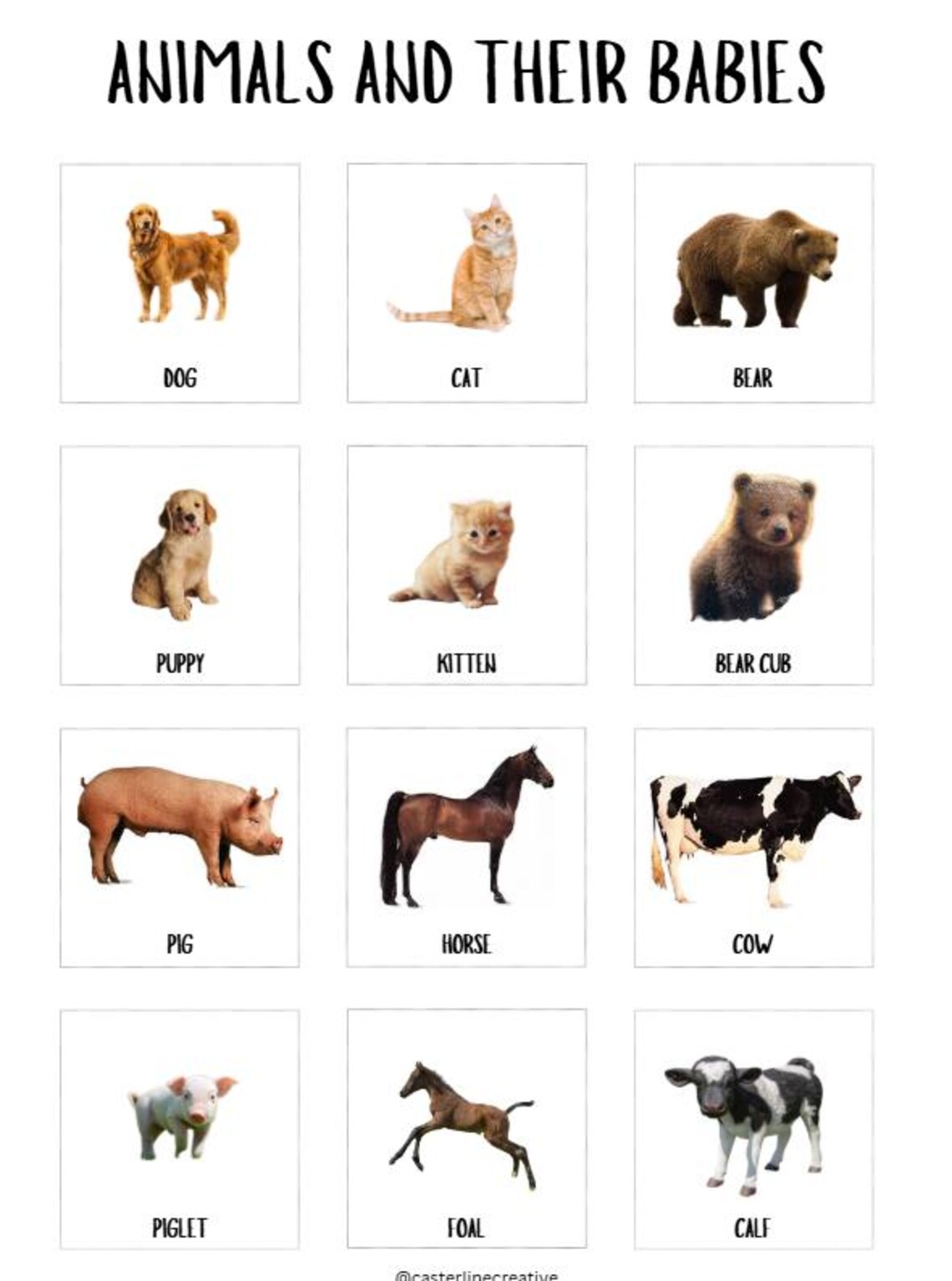 Preschool - Animals & Their Babies Cards - Etsy