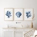 Navy Blue Nautical Printable Wall Art, Set of 3, Beach House Art ...