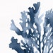 Navy Blue Nautical Printable Wall Art, Set of 3, Beach House Art ...