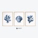 Navy Blue Nautical Printable Wall Art, Set of 3, Beach House Art ...