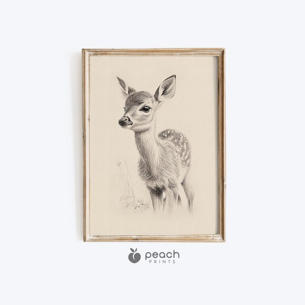 Fawn Decor - Etsy
