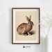 Spring Brown Rabbit Print, Printable, Easter Art Prints, Nursery Wall ...