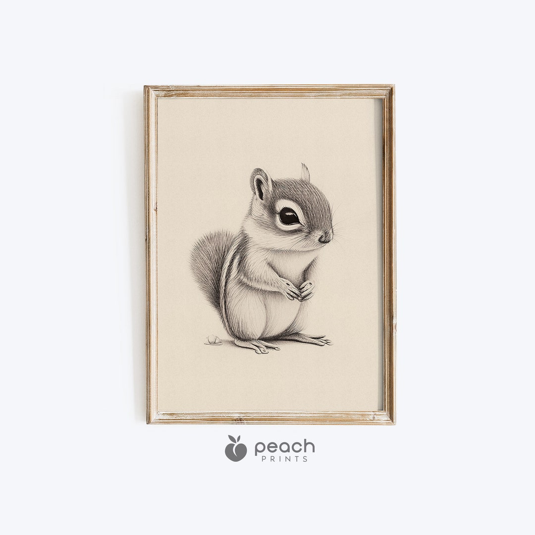 Woodland Baby Chipmunk Drawing, Printable, Chipmunk Print, Nursery Wall ...