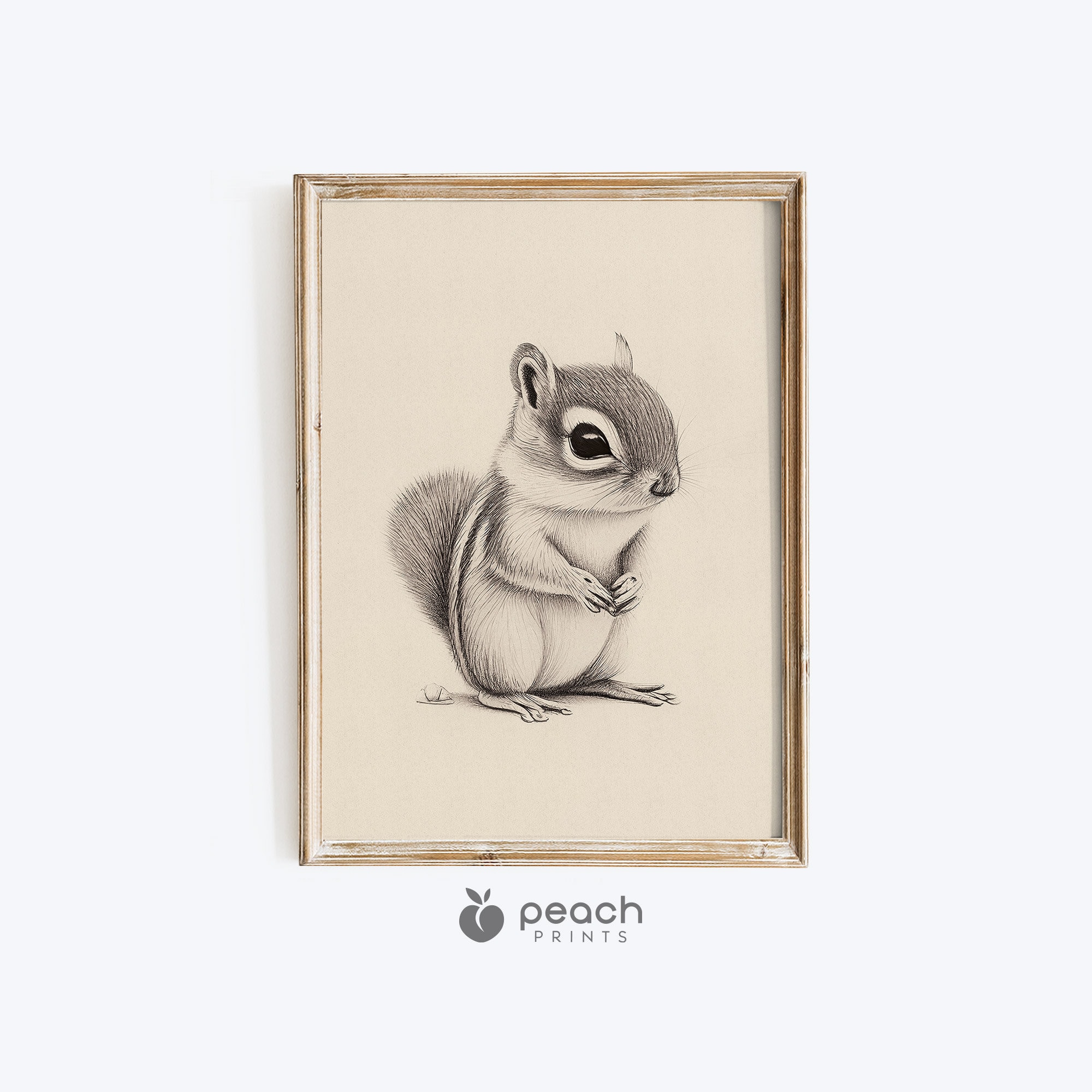 Cute Chipmunk Drawing