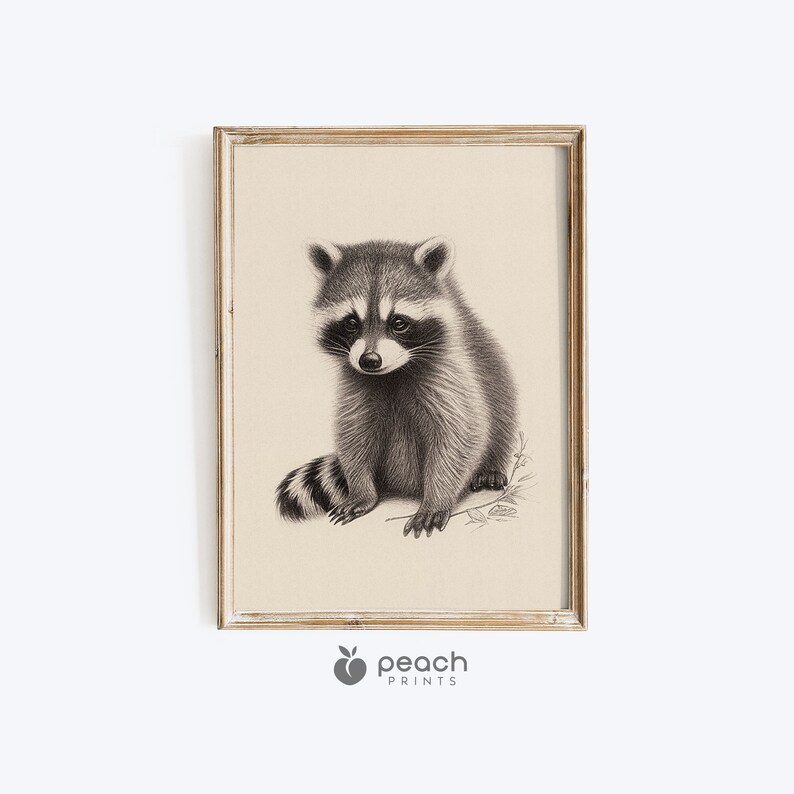 Woodland Baby Racoon Drawing Printable Racoon Print Nursery - Etsy