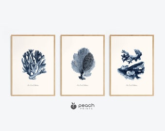 Navy Blue Nautical Printable Wall Art, Set of 3, Beach House Art ...