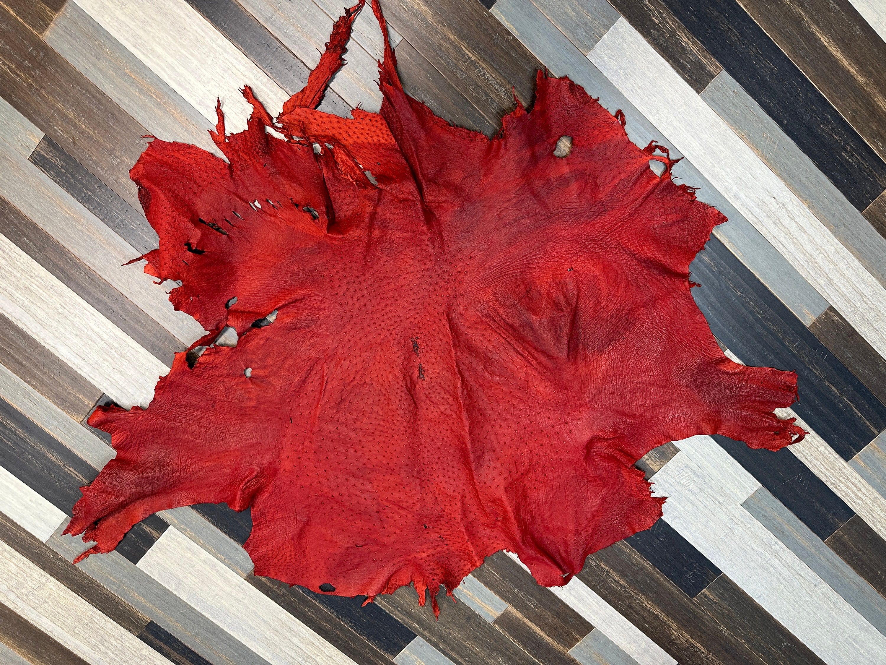 Grade 2 B Full Ostrich Hides. - Etsy