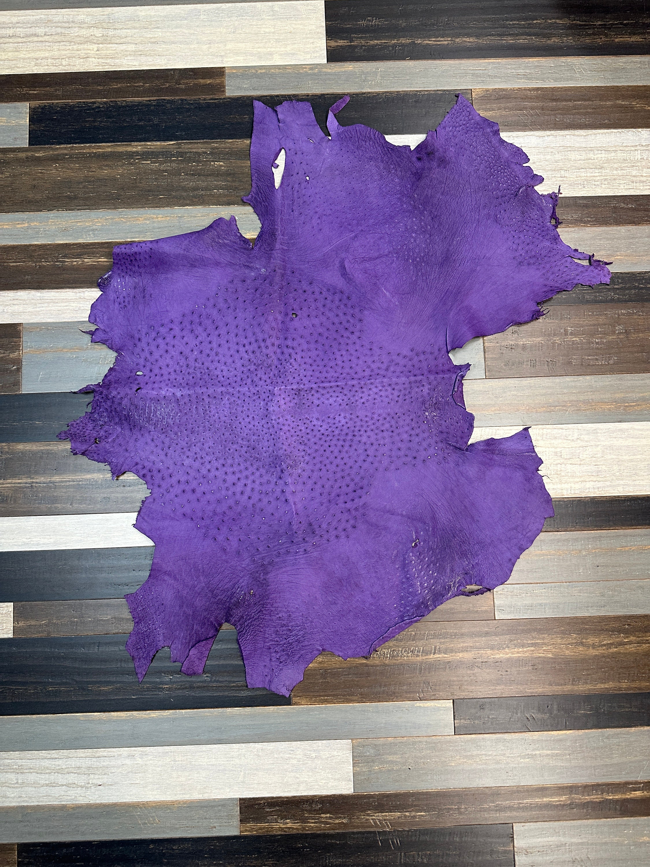 Grade 2 B Full Ostrich Hides. - Etsy