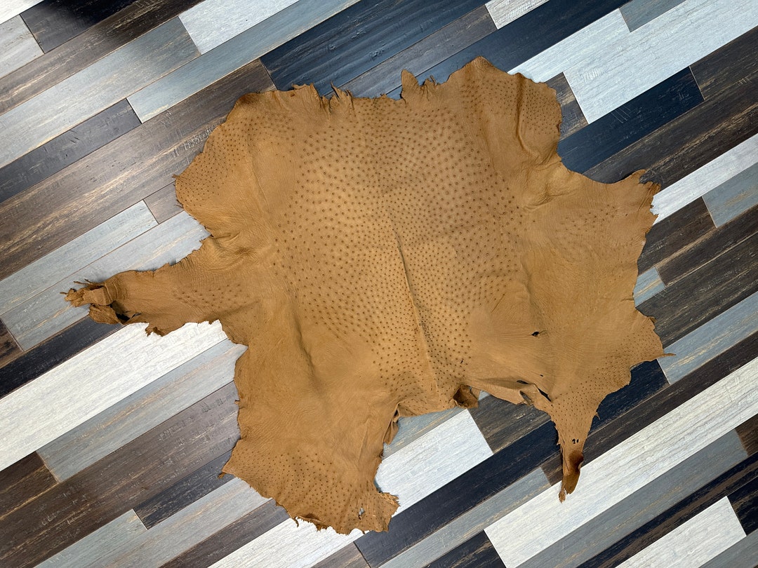 Grade 2 B Full Ostrich Hides. - Etsy