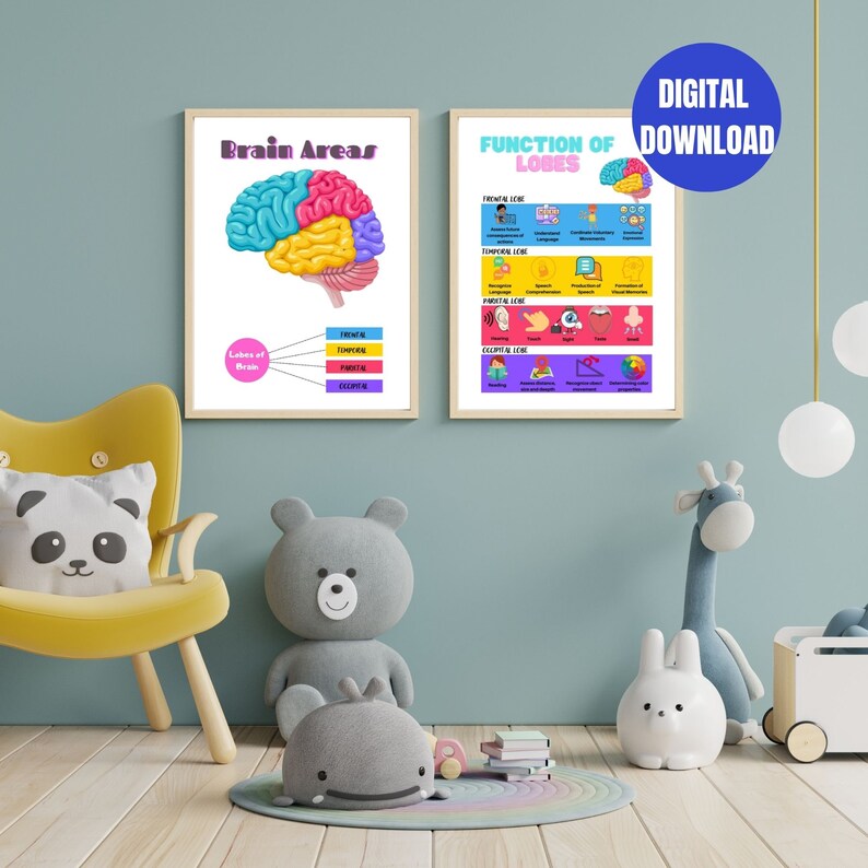 Lobes of Brain, Funtions of Lobes , Counseling Poster, Office Decor ...
