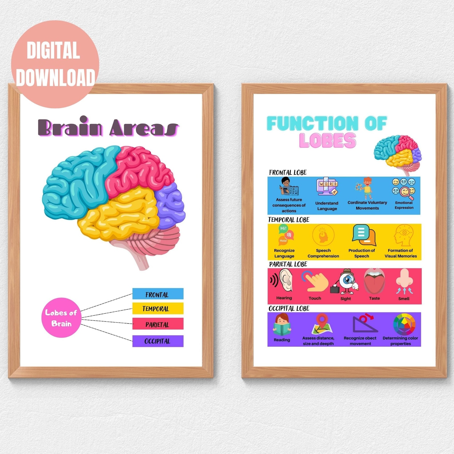 Lobes of Brain, Funtions of Lobes , Counseling Poster, Office Decor ...