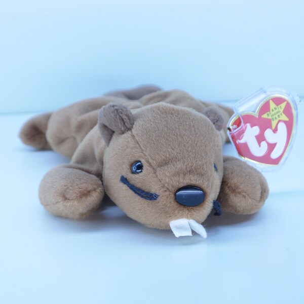 Bucky Beaver - Etsy