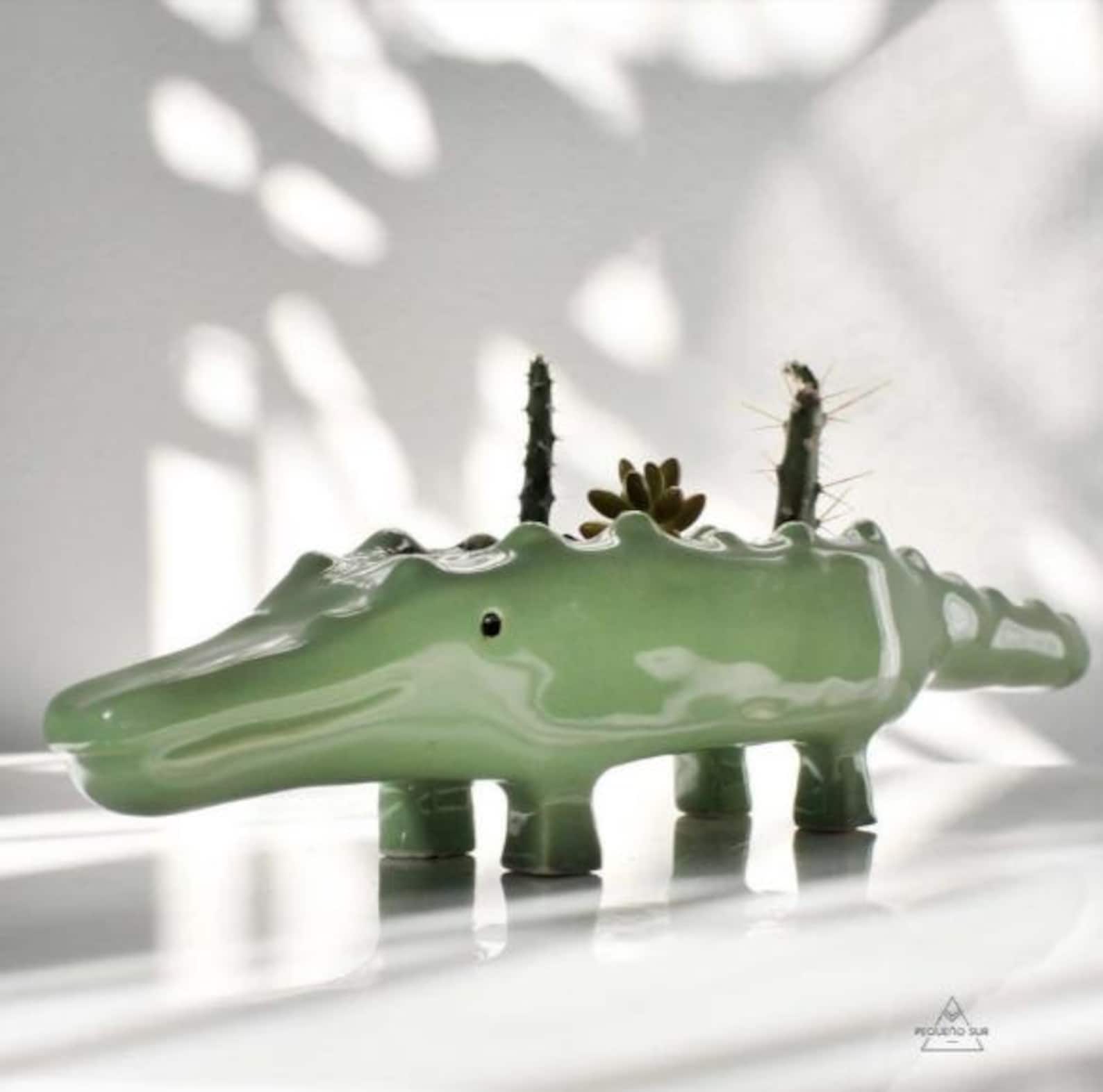 Crocodile Planter, Ceramic Animal Pot, Large Succulent Pot, Handmade in ...