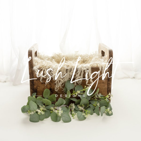 Backlit Backdrop - Etsy