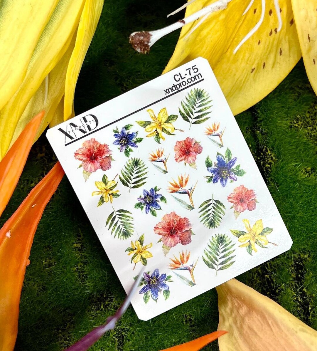 Nail Decal 2D/ Summer, Spring / Vacation Nails/ Tropical Nail / Beach ...