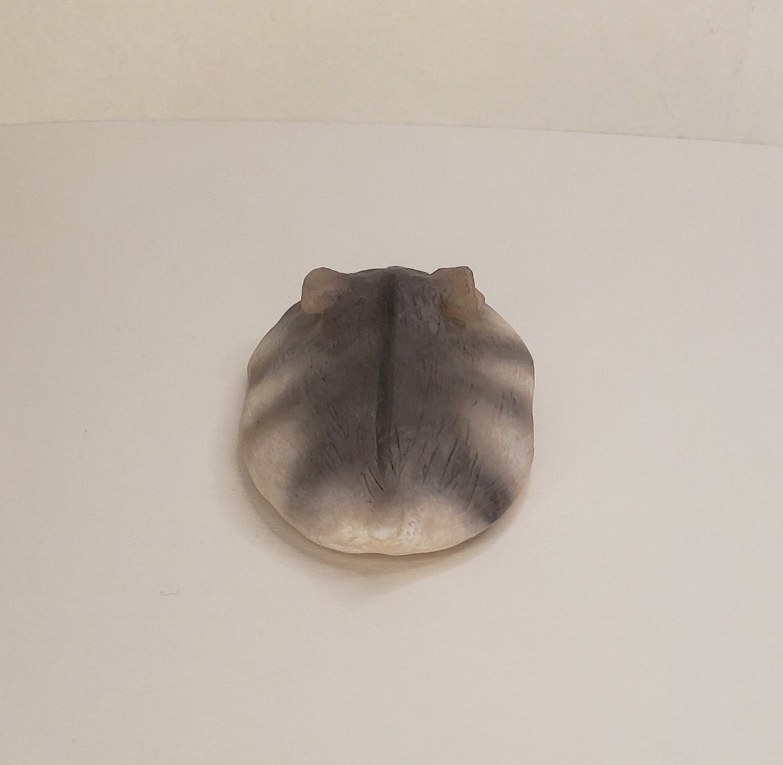 Grey Pancake Dwarf Hamster Handmade Polymer Clay - Etsy