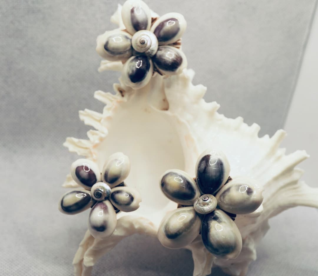 Purple Top Cowrie Magnet - Large - Etsy