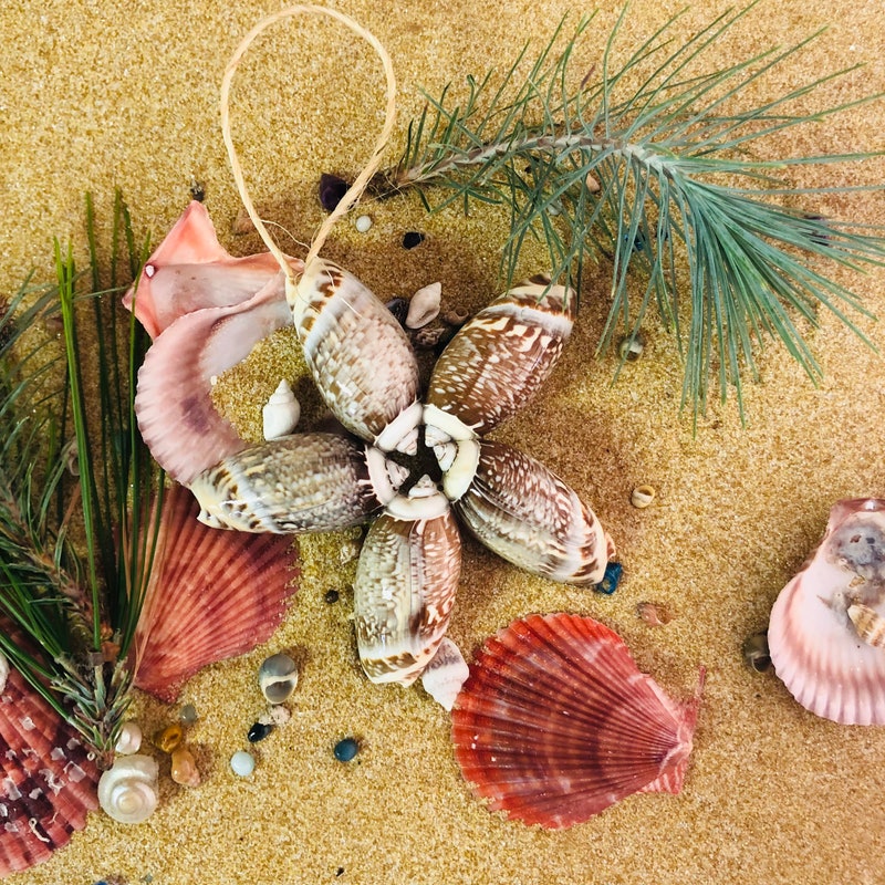 Shell Ornaments - Etsy